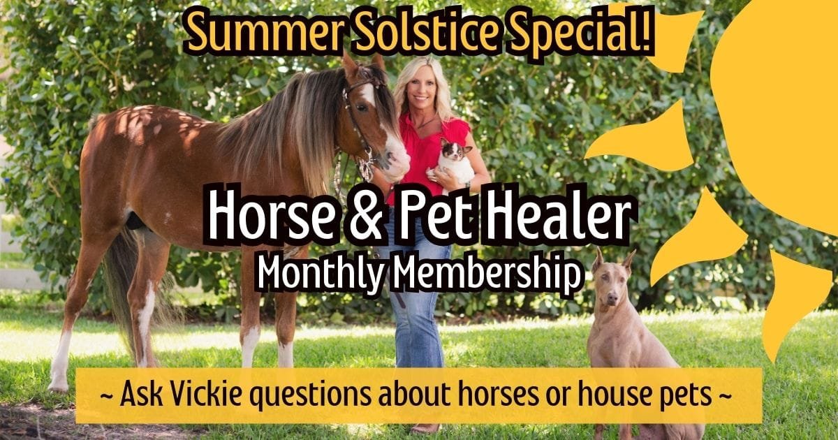 Horse & Pet Healer » Vickie Miller | Official Website